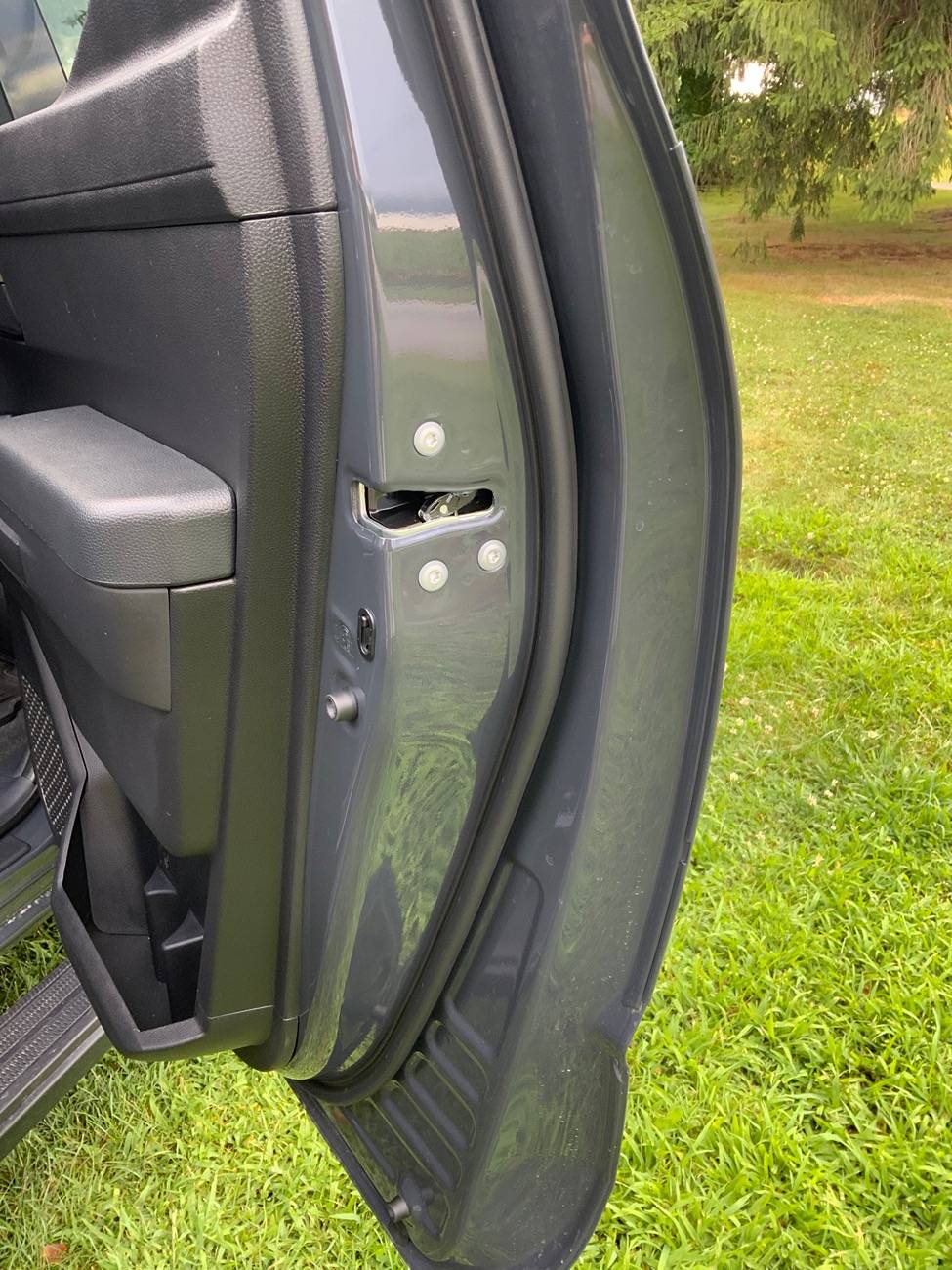 Tacoma Door Edge Guards